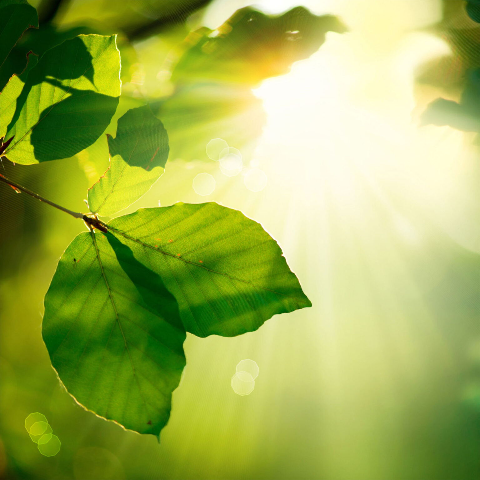 EFFAS Certified ESG Analyst® (CESGA) 4.1 Online course & Certification ...